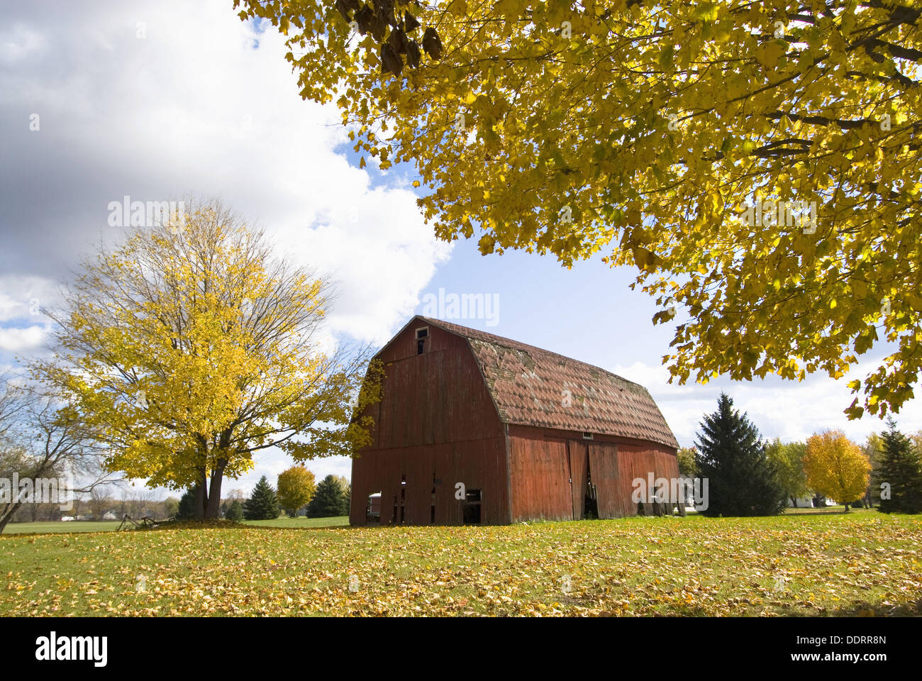 Illinois near springfield farm hi-res stock photography and images - Alamy
