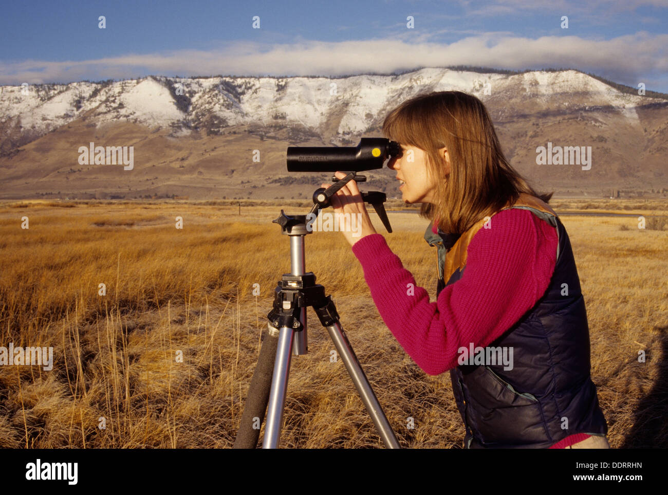 Birdwatching with Winter Rim, Summer Lake Wildlife Area, Oregon Stock ...