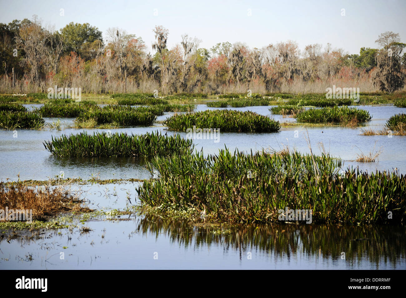 Circle b bar lakeland hi-res stock photography and images - Alamy