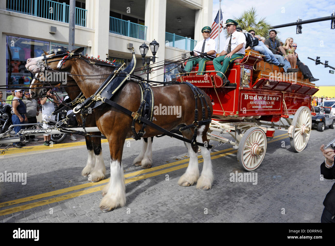 Budweiser Clydesdales Daytona Beach Florida Biker Week motorcycle ...