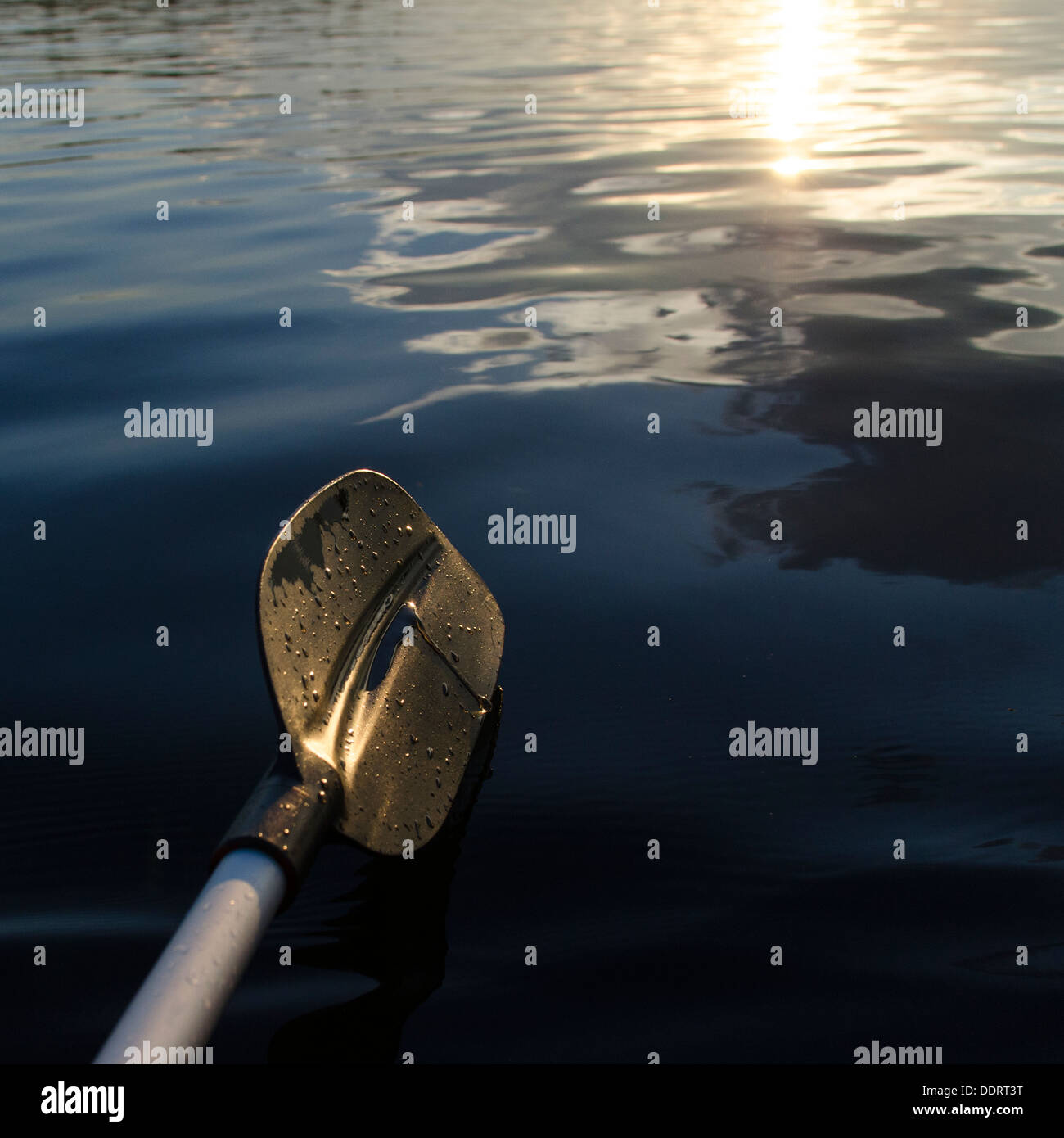 Oar on the surface of the water, Lake of The Woods, Ontario, Canada ...