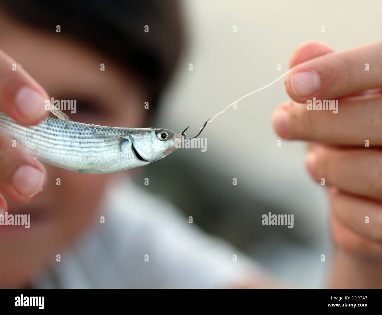 Little fish caught on hook in the arms Stock Photo - Alamy