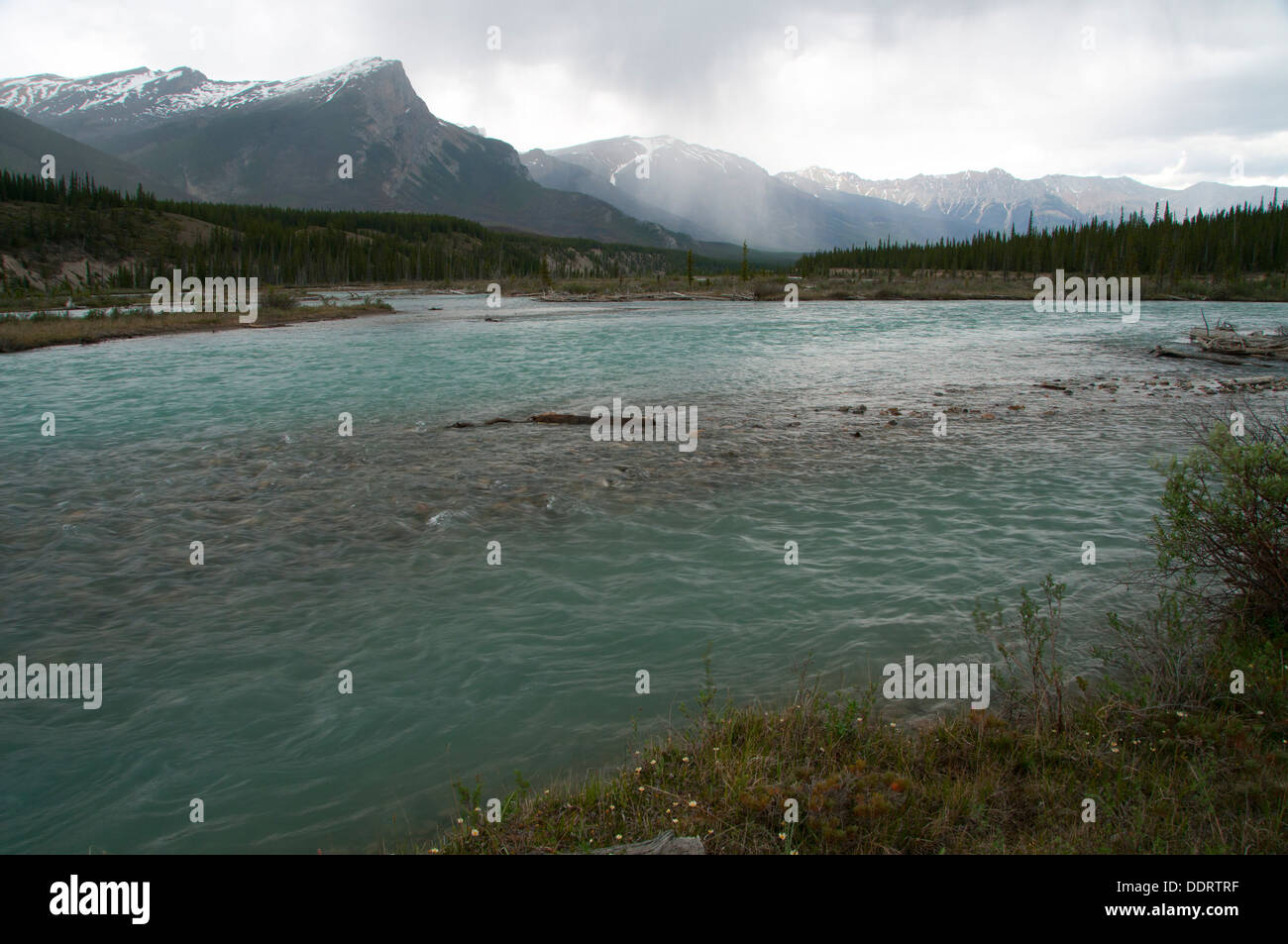 North Saskatchewan River High Resolution Stock Photography and Images ...