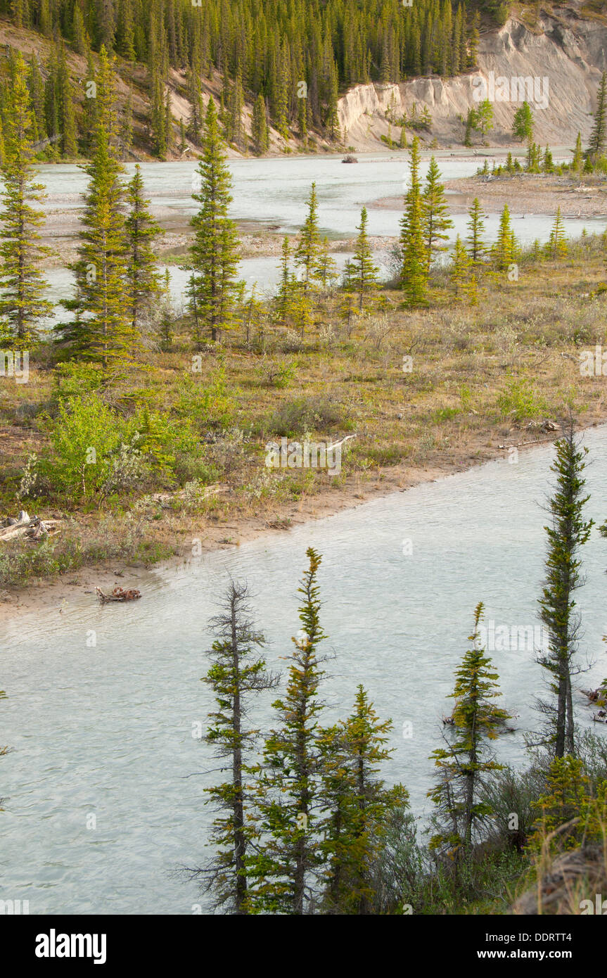 North Saskatchewan River from Warden Lake Trail, Banff National Park ...