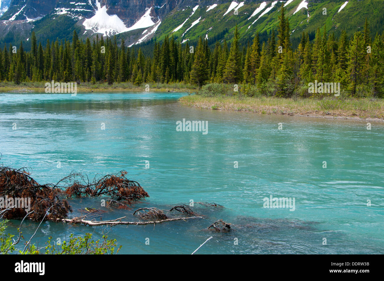 Mistaya River, Banff National Park, Alberta, Canada Stock Photo - Alamy