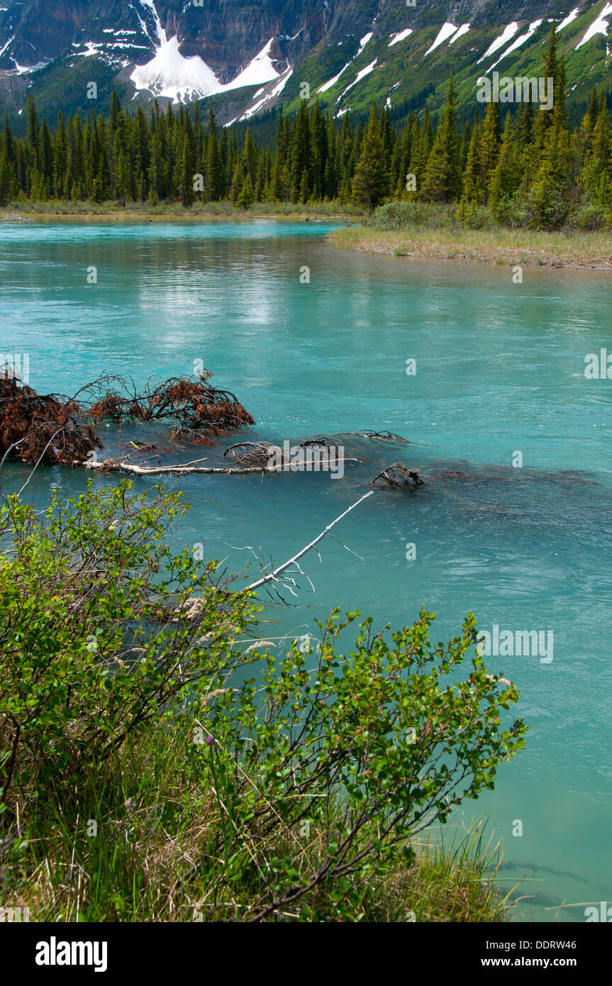 Mistaya River, Banff National Park, Alberta, Canada Stock Photo - Alamy