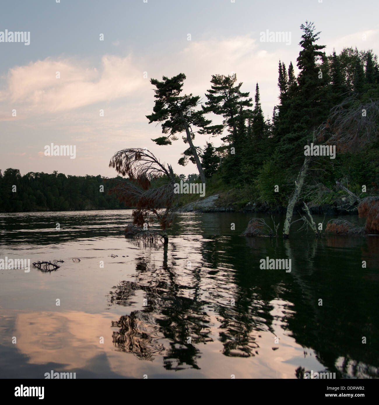 Reflection of trees along shoreline, Lake of The Woods, Ontario, Canada ...