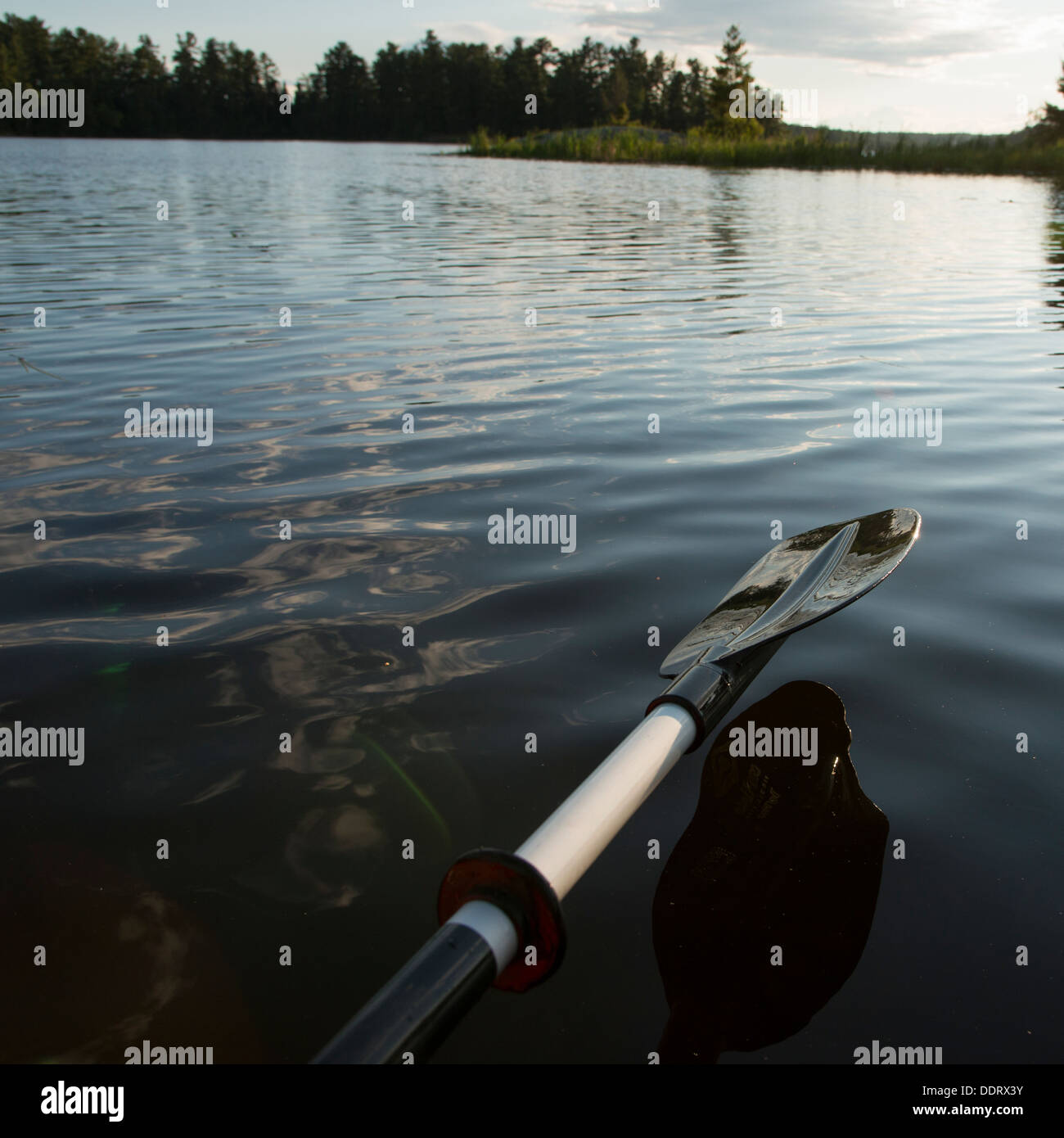 Oar, Lake of The Woods, Keewatin, Ontario, Canada Stock Photo - Alamy