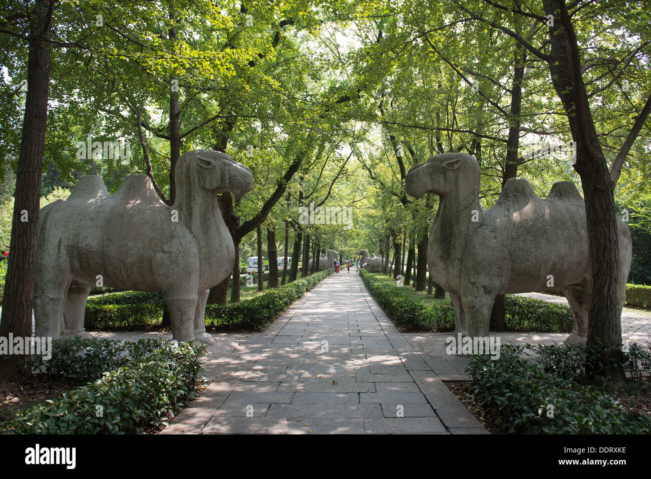 Camel mythical ancient creature statue sacred way the ming tombs hi-res ...