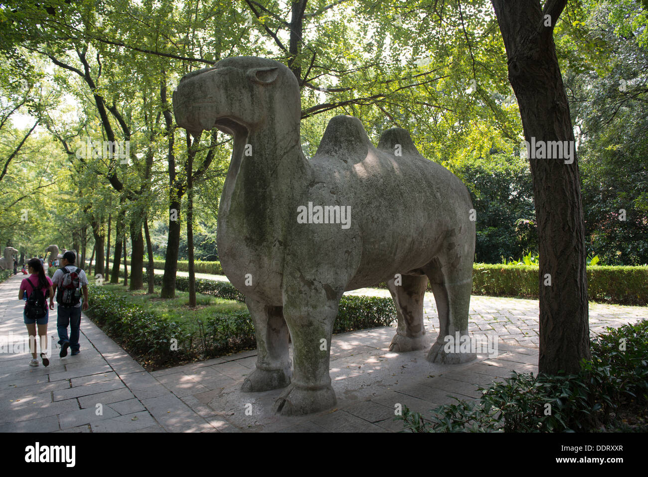 Camel mythical ancient creature statue sacred way the ming tombs hi-res ...