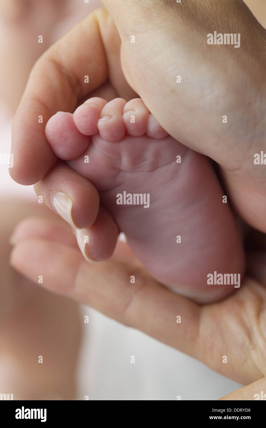 Hand holding feet of newborn baby Stock Photo - Alamy