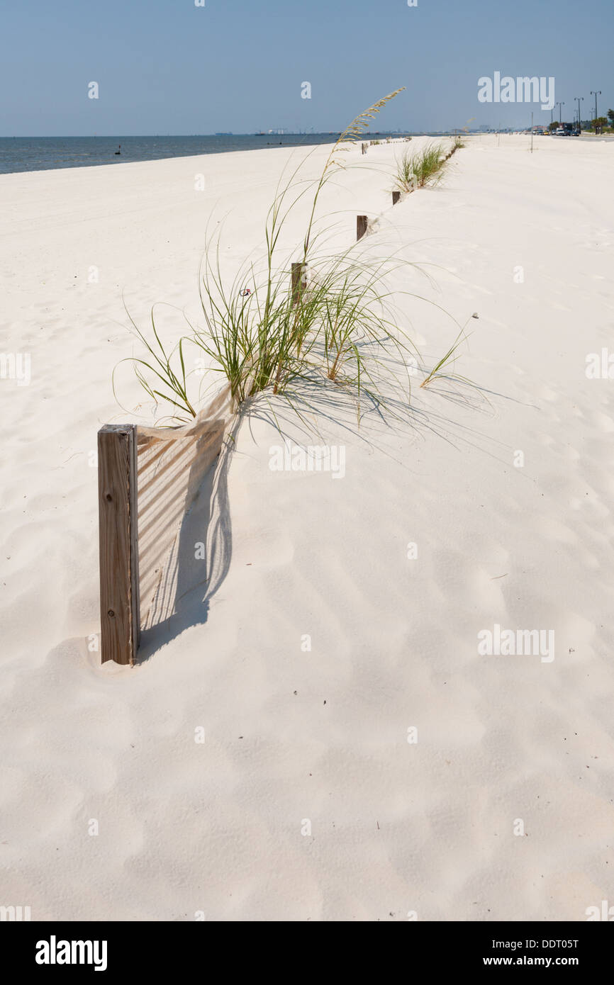 Erosion protection dunes on man made sand beach on the Gulf of Mexico ...