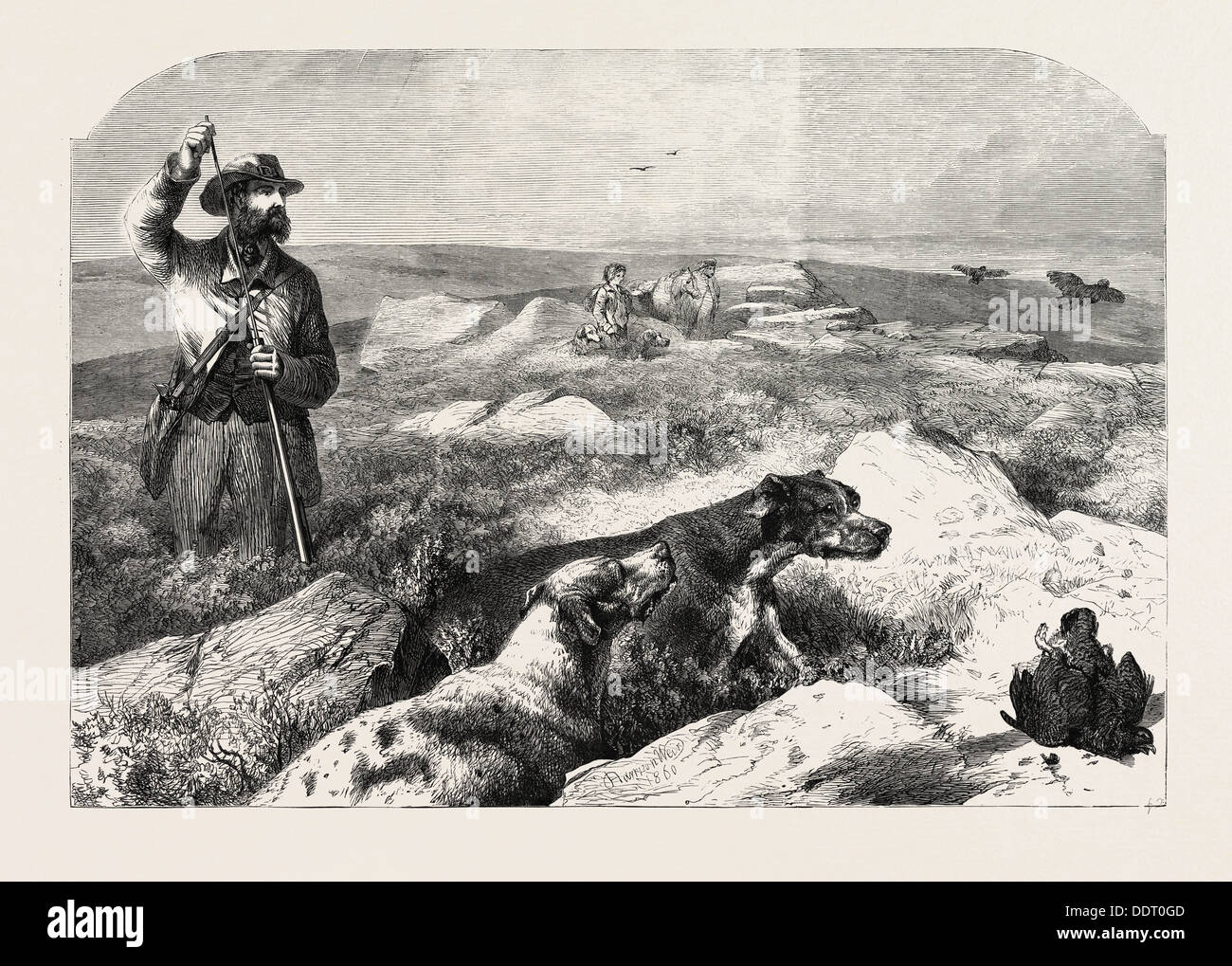 GROUSE SHOOTING, FROM A DRAWING BY HARRISON WEIR, 1860 engraving Stock ...