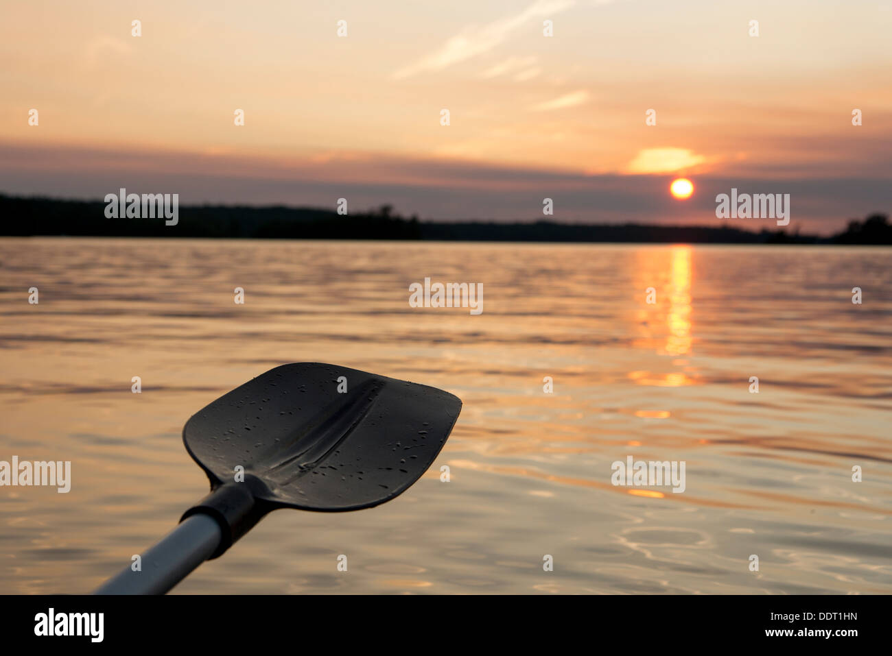Oar in the lake at sunset, Lake of The Woods, Keewatin, Ontario, Canada ...