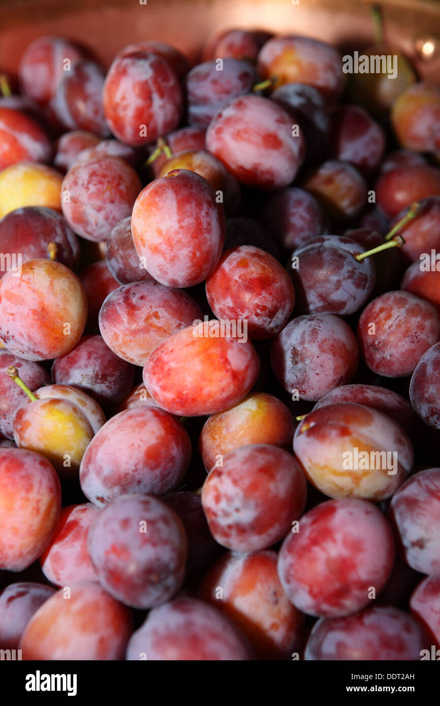 Pixy plum hi-res stock photography and images - Alamy