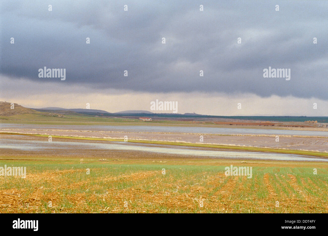 La Zaida High Resolution Stock Photography and Images - Alamy