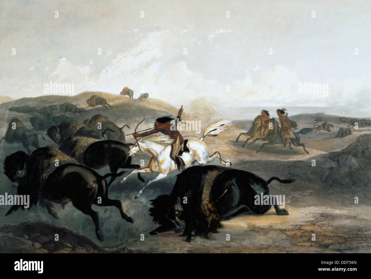 19th century bison hunting hi-res stock photography and images - Alamy