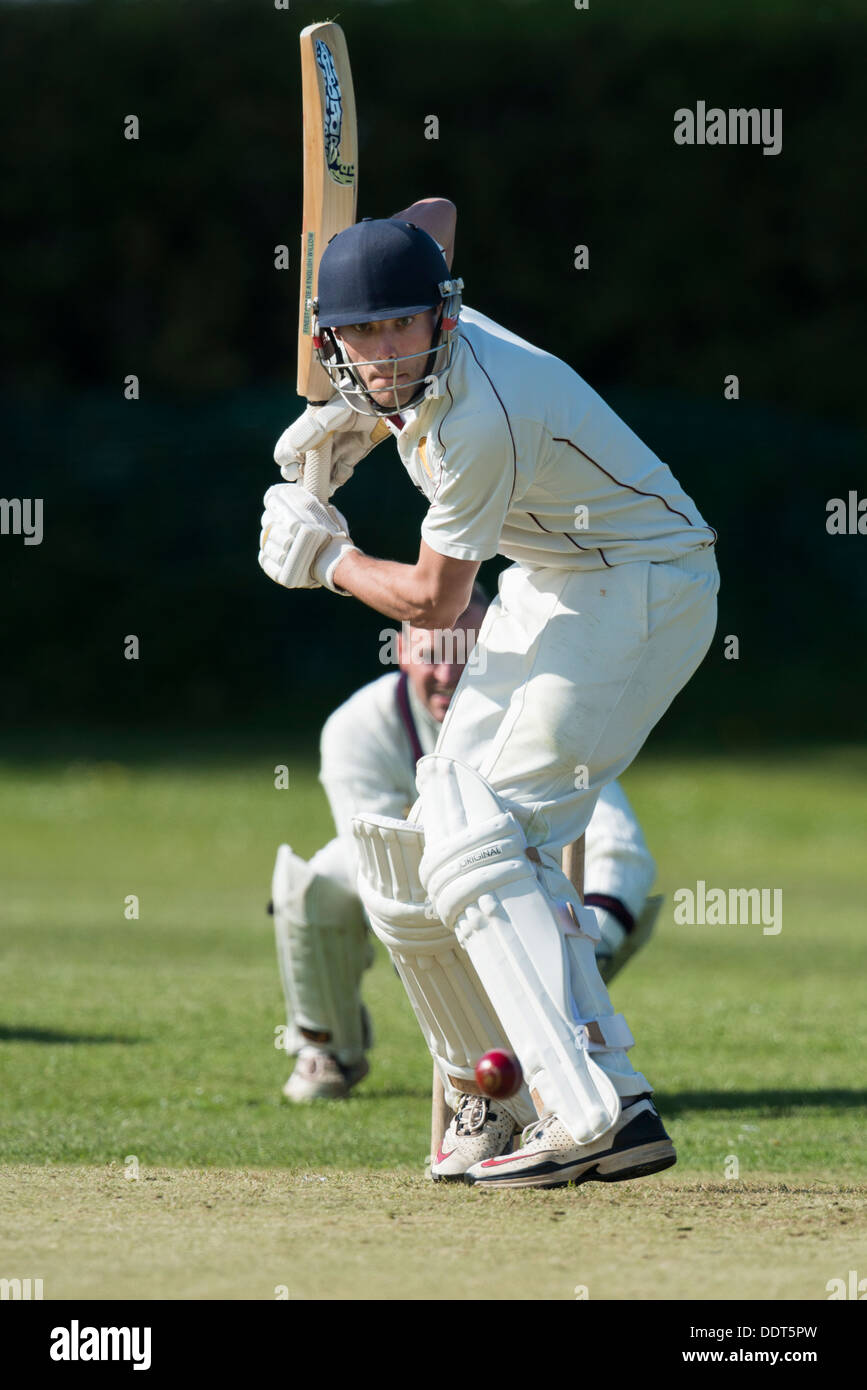 Batsman preparing to play stroke off back foot Stock Photo - Alamy