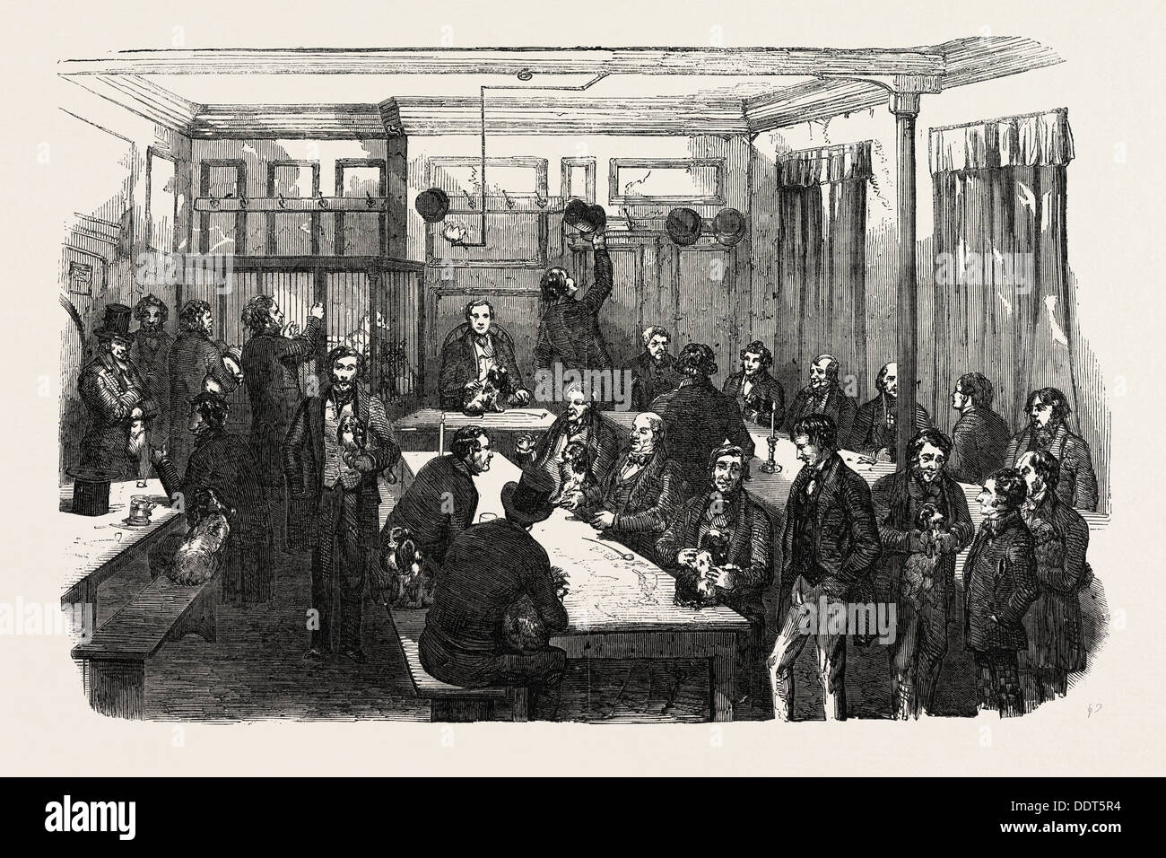 FANCY DOG SHOW, 1851 engraving Stock Photo - Alamy