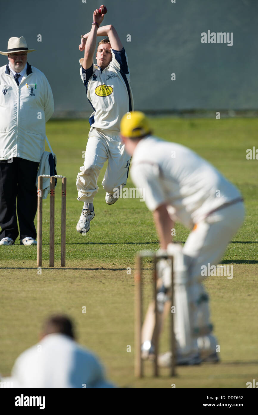 Fast bowler in action Stock Photo - Alamy