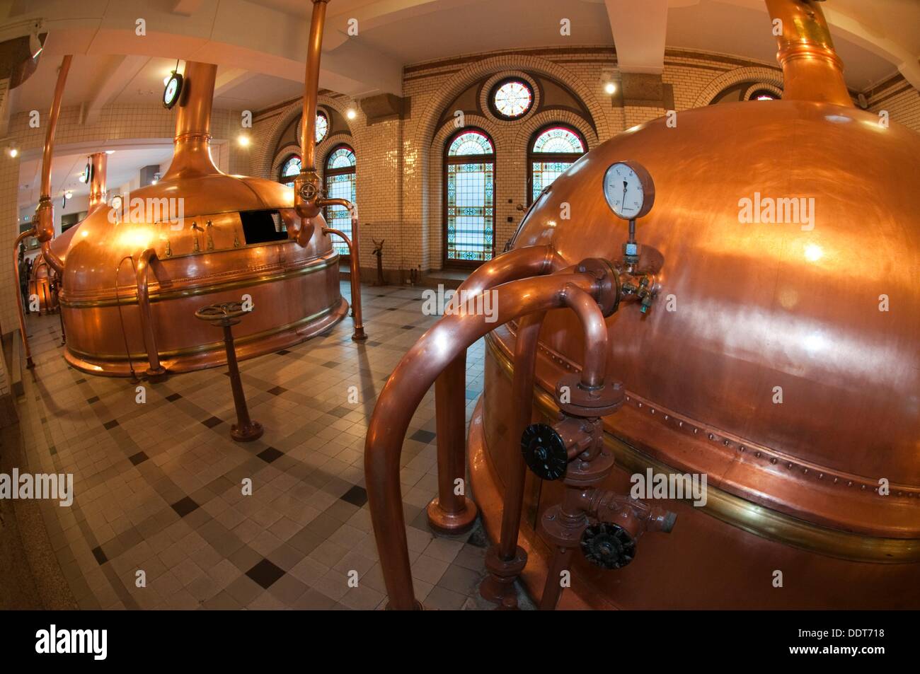 Copper Traditional Tanks Brewing Heineken High Resolution Stock ...