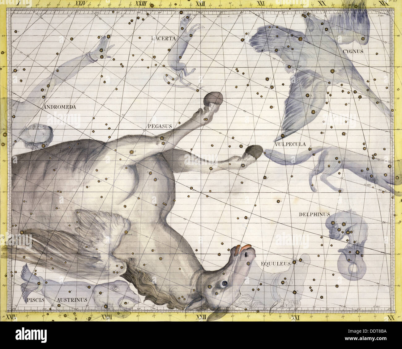 Pegasus constellation hi-res stock photography and images - Alamy