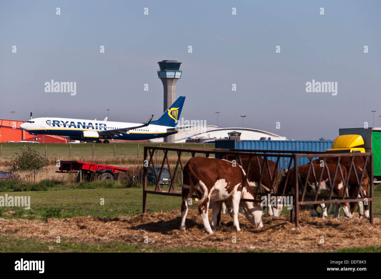 Ryanair plane taking over farm Luton Airport Stock Photo - Alamy