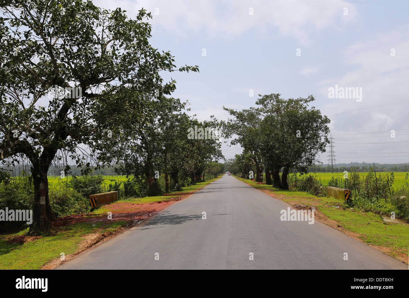 Long Road In India - Permedica