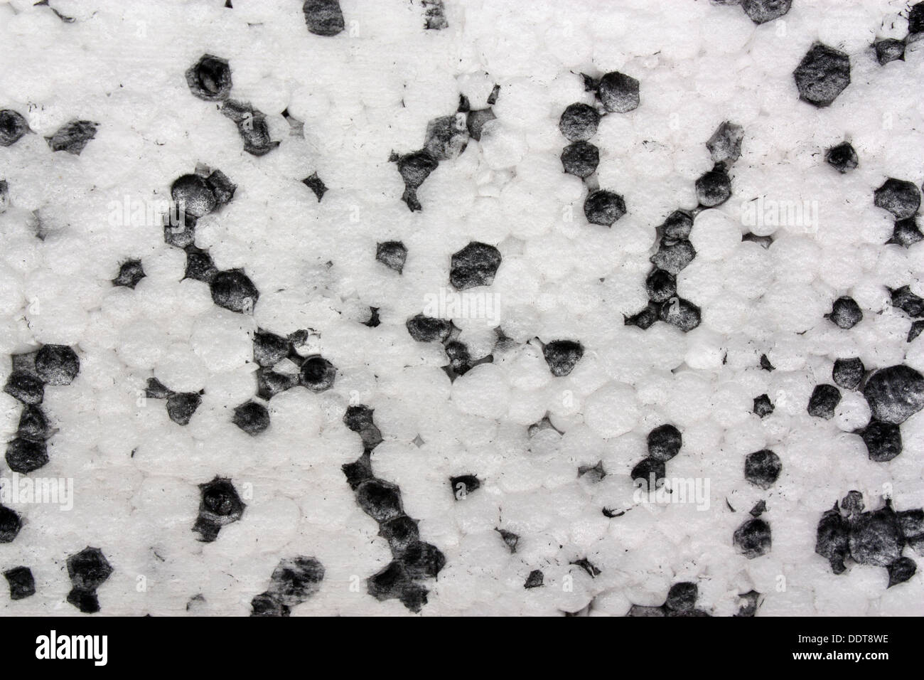 Polystyrene white black background texture Stock Photo - Alamy