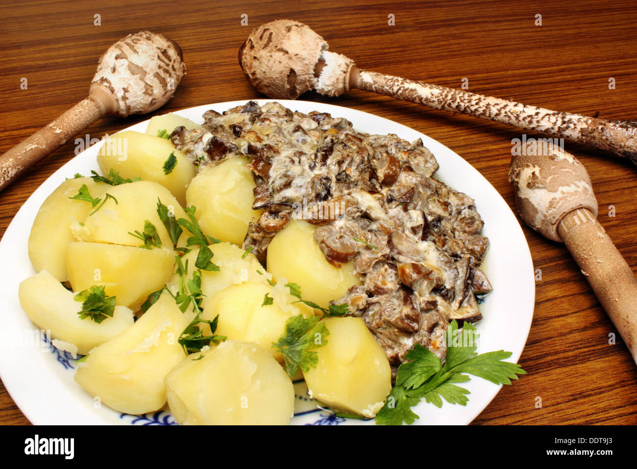 Parasol mushroom and mushroom sauce with potatoes Stock Photo - Alamy