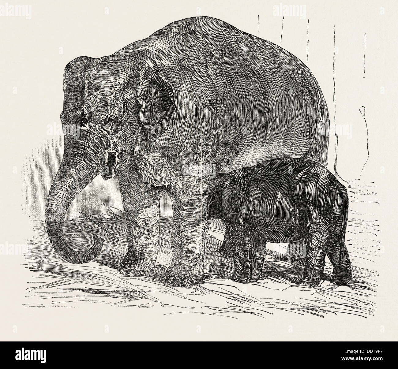 Elephant park london hi-res stock photography and images - Alamy