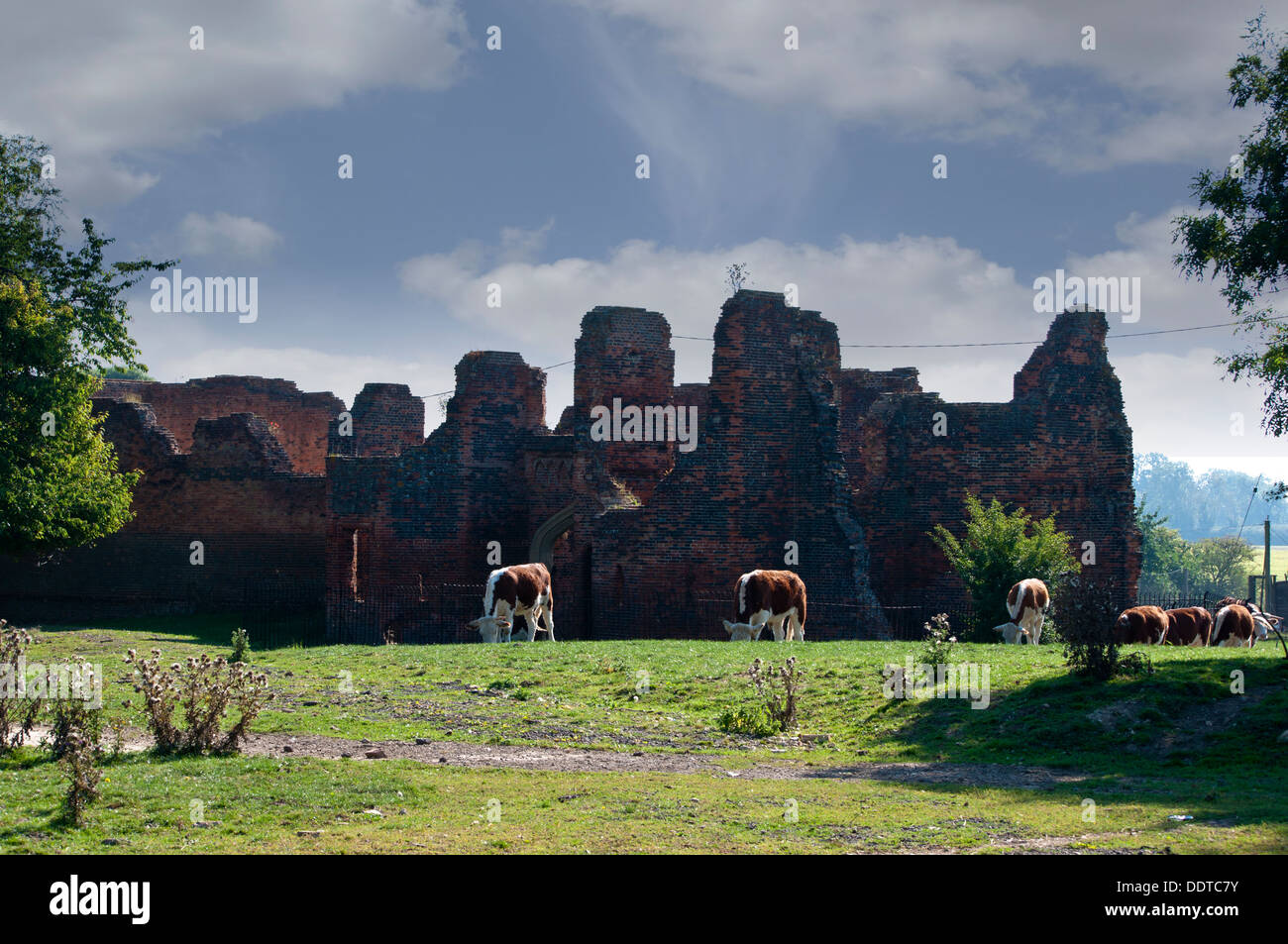 Someries Castle Summeries castle Bedfordshire Stock Photo - Alamy