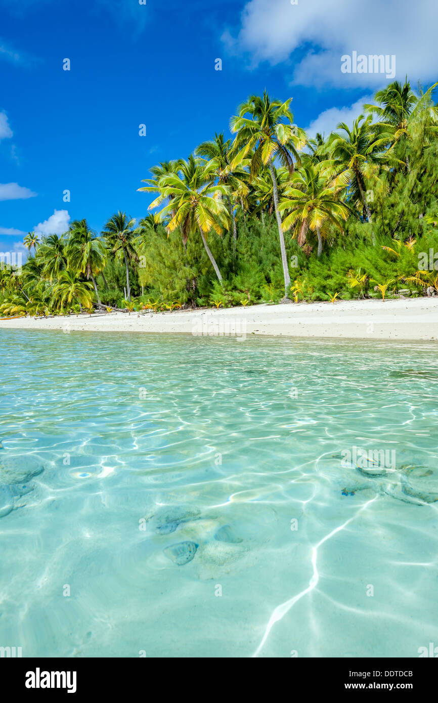 COOK ISLANDS, Aitutaki island, tropical sandy white beach with ...