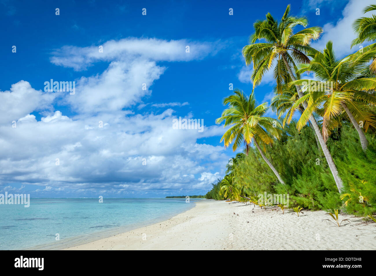 COOK ISLANDS, Aitutaki island, tropical sandy white beach with ...