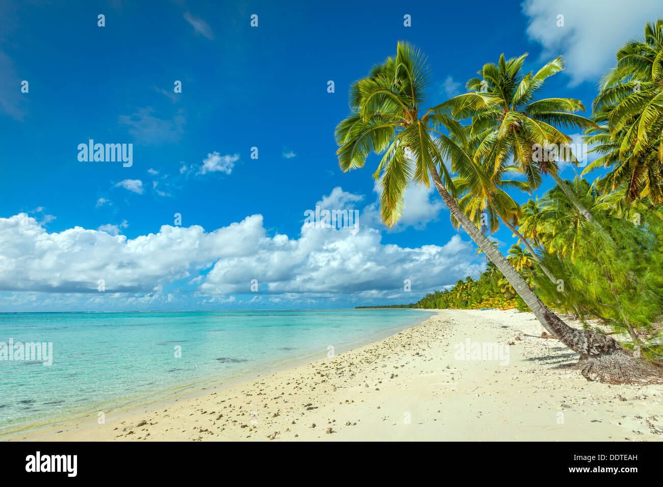 COOK ISLANDS, Aitutaki island, tropical sandy white beach with ...