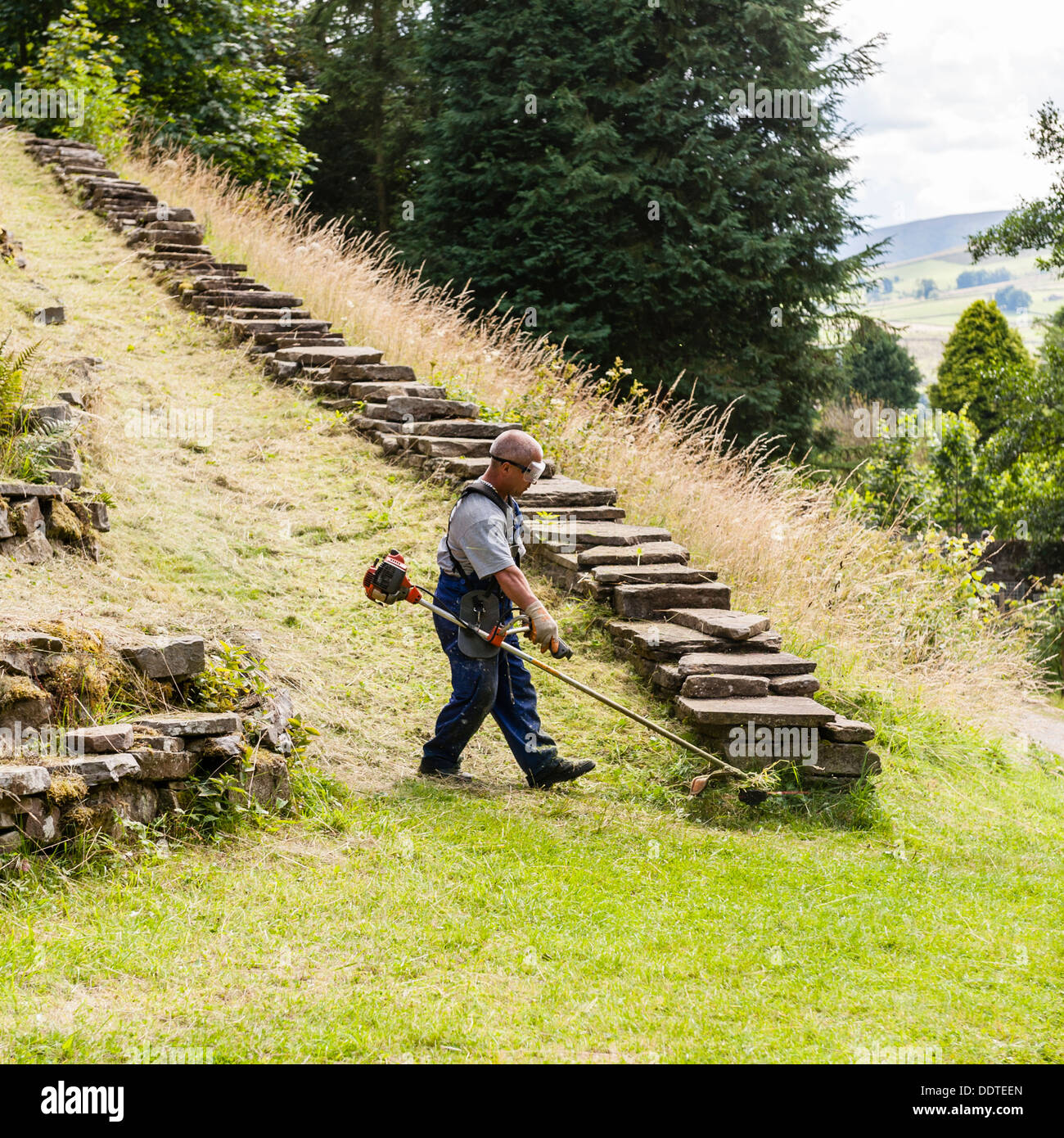 A man using a petrol strimmer in the Uk Stock Photo - Alamy