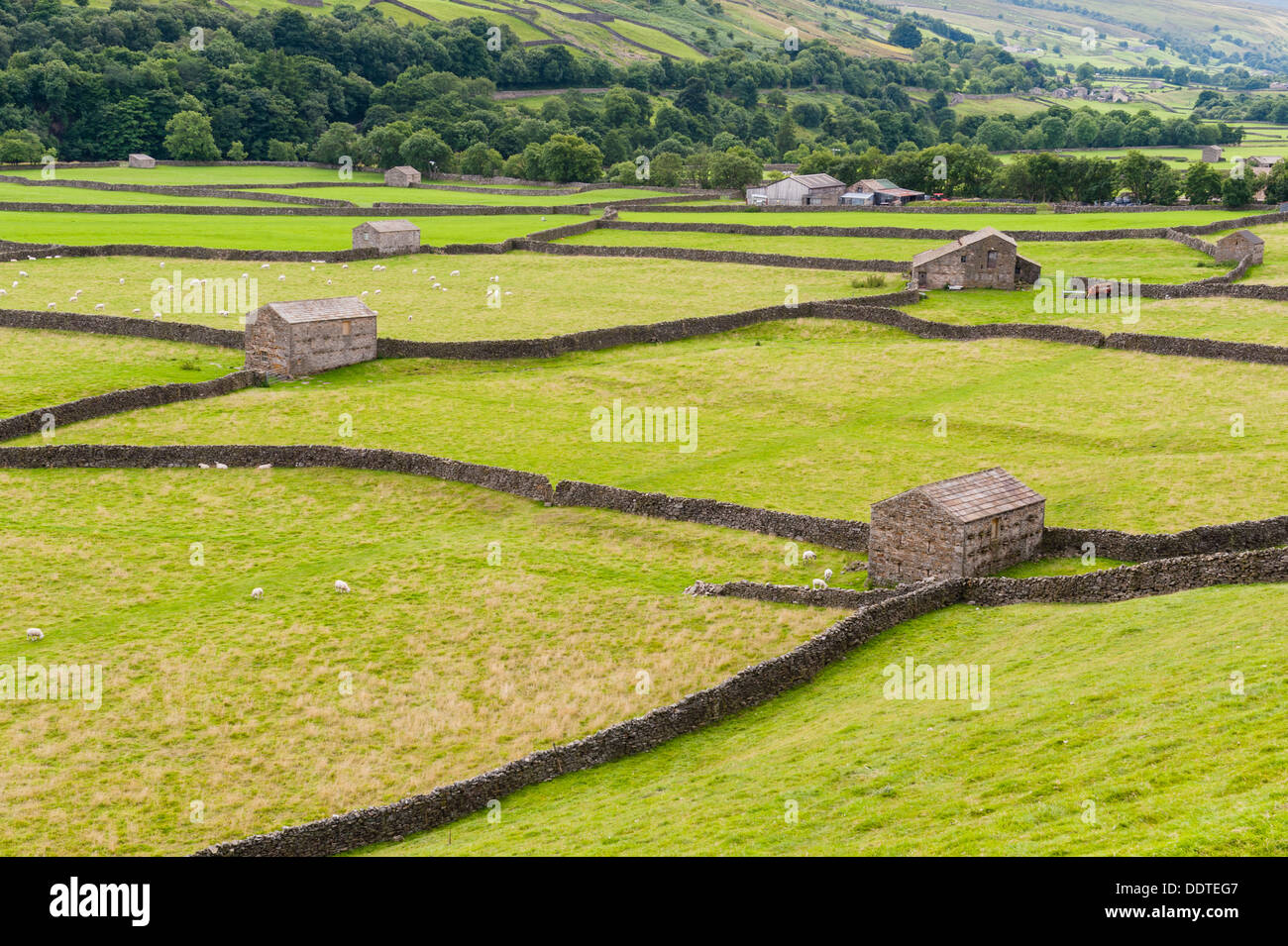 Gunnerside in Swaledale , North Yorkshire , England, Britain, Uk Stock ...