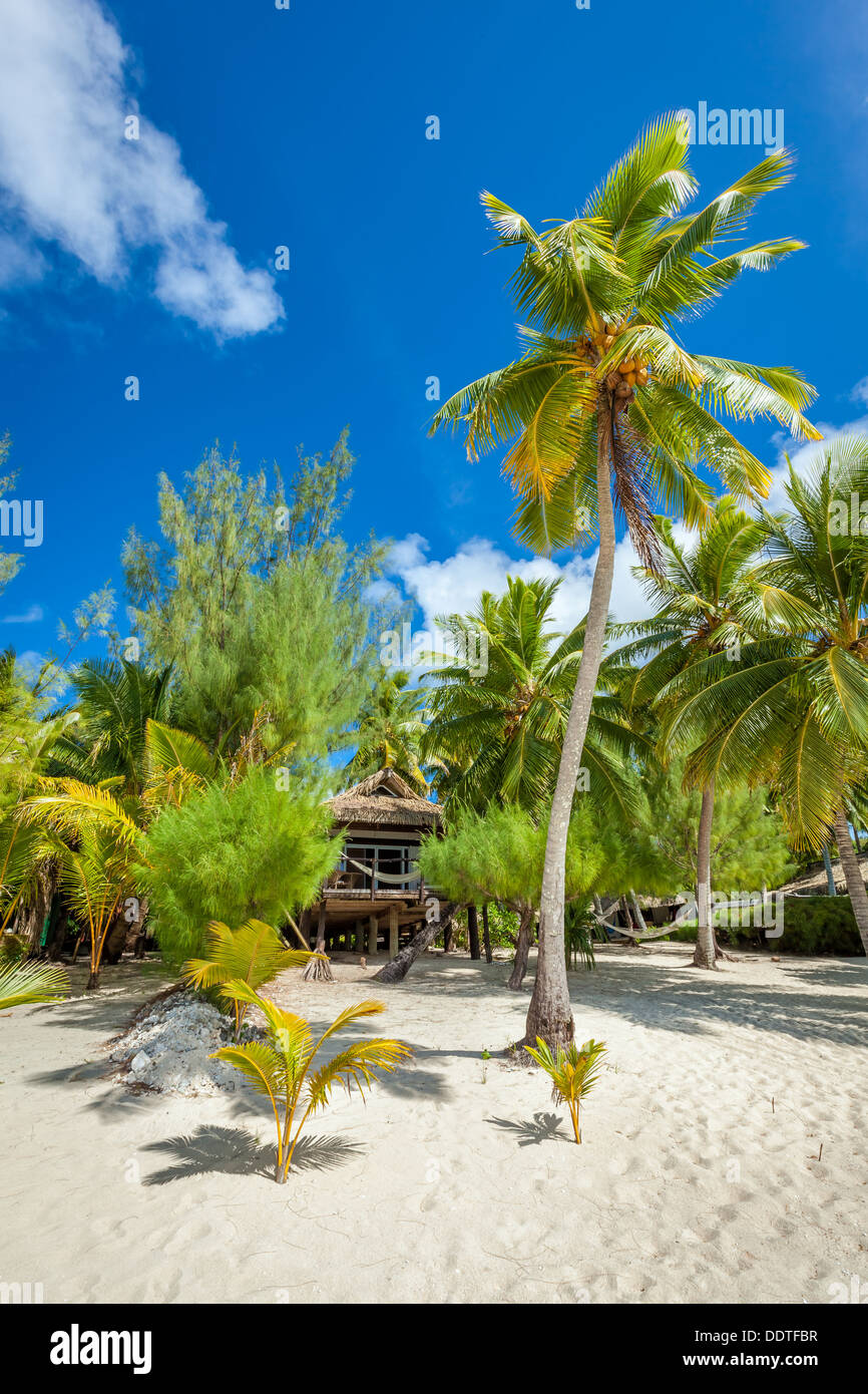 COOK ISLANDS, tropical ocean front wooden hut and palm trees in the ...