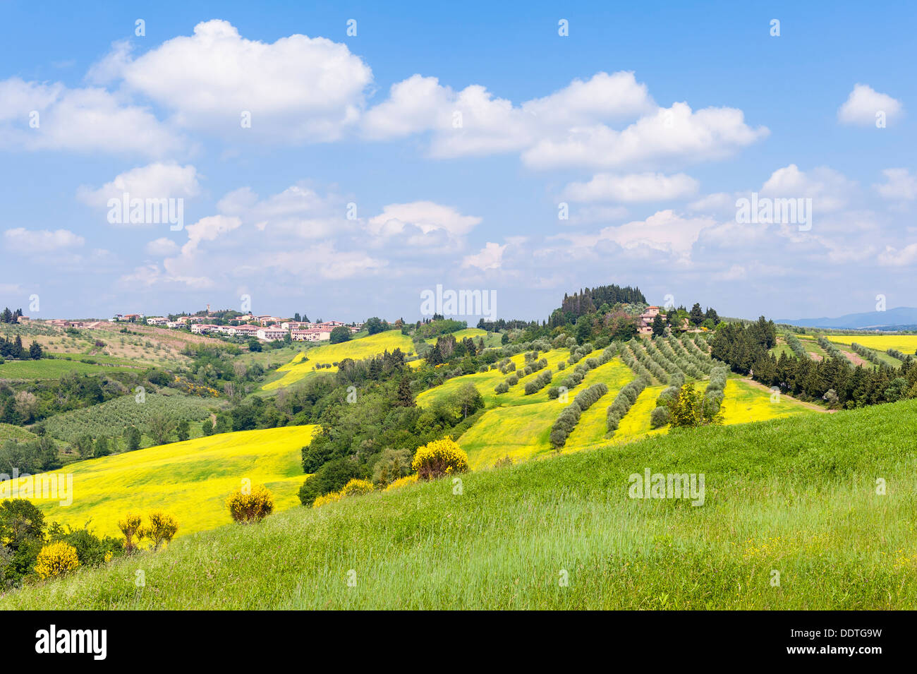 Tuscany in spring Stock Photo - Alamy