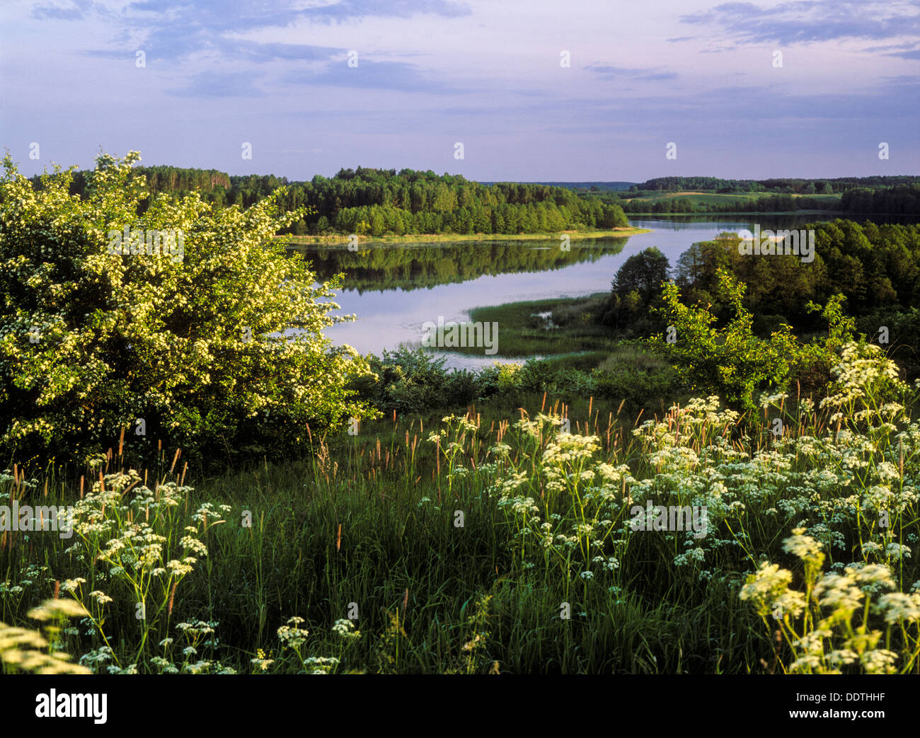 Warmia masuria quiet rest hi-res stock photography and images - Alamy