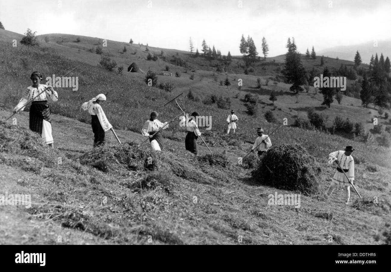 1920s Farming Women High Resolution Stock Photography and Images - Alamy