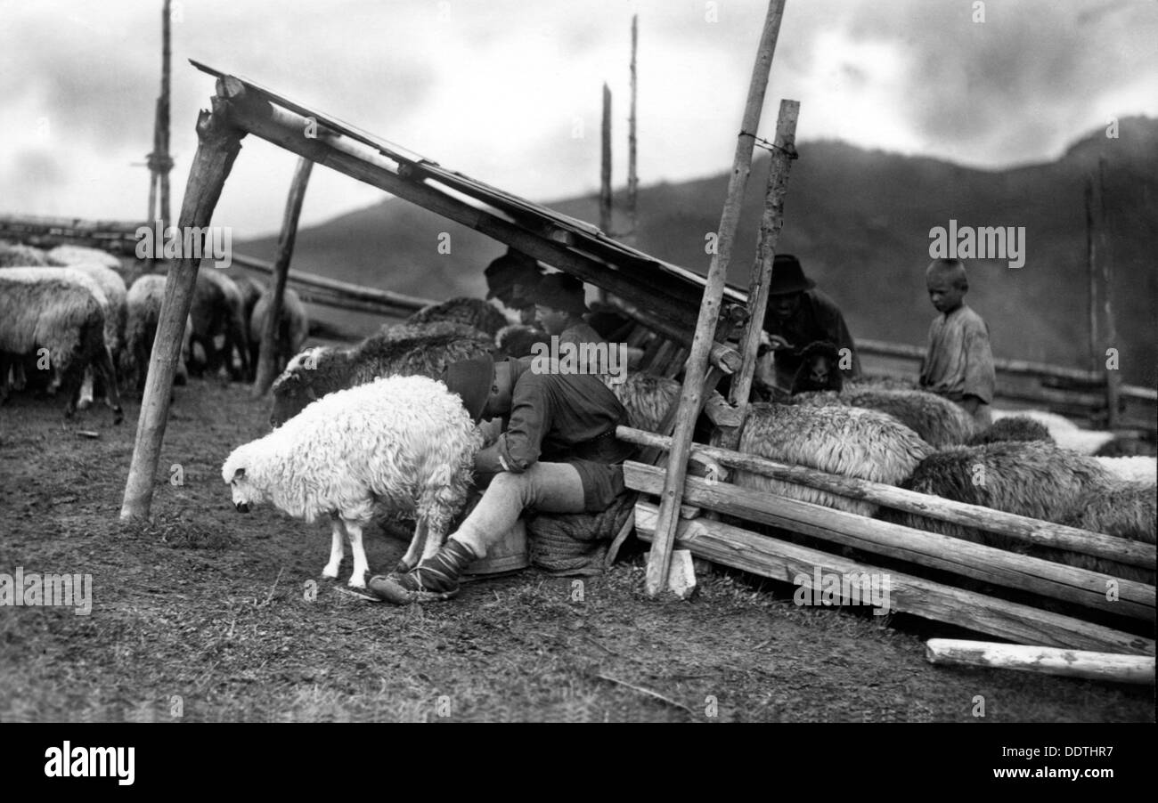 1920s farming Black and White Stock Photos & Images - Alamy