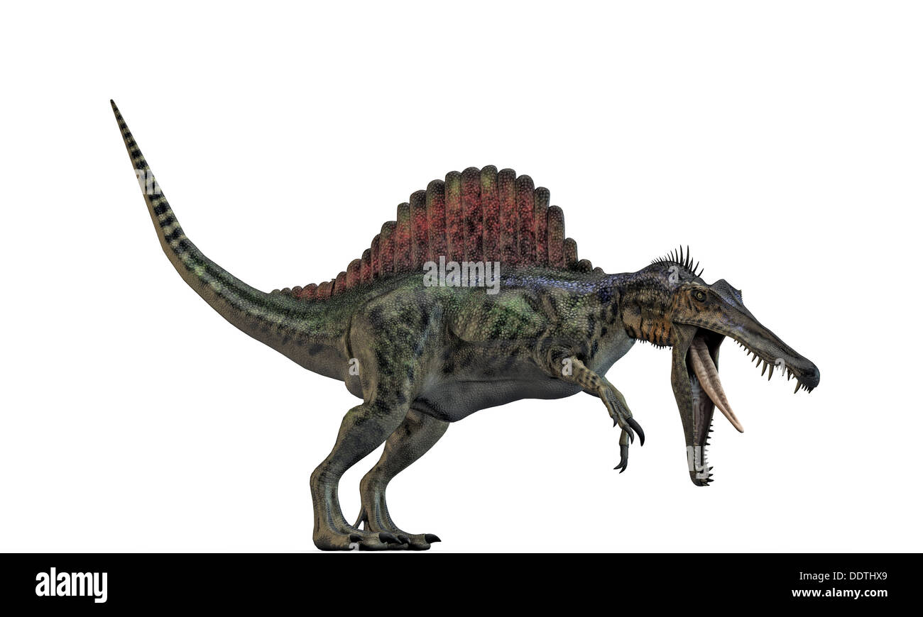 Spinosaurus hi-res stock photography and images - Alamy