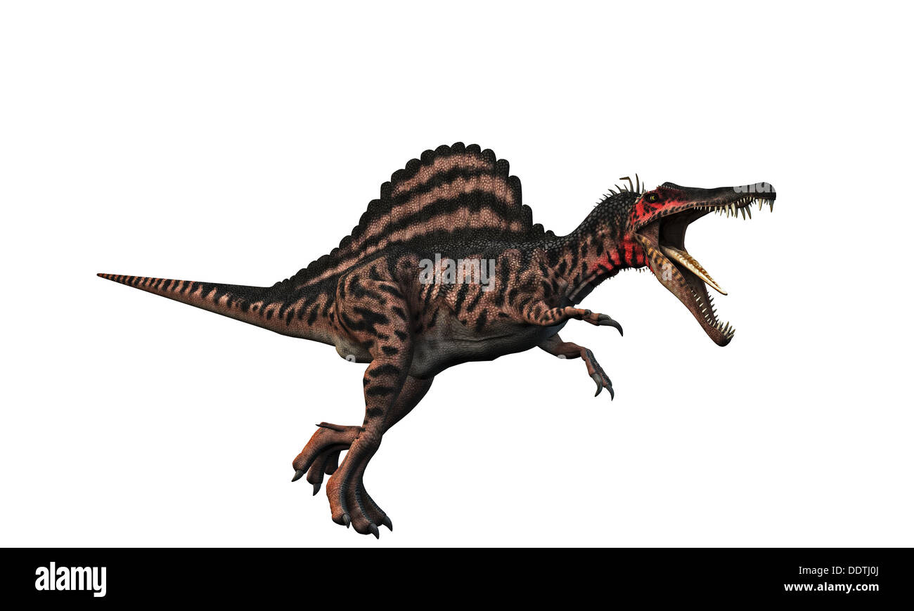spinosaurus isolated on white background Stock Photo - Alamy