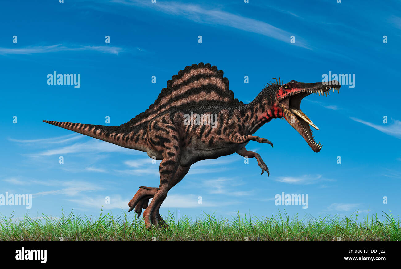 spinosaurus running into the wild Stock Photo - Alamy