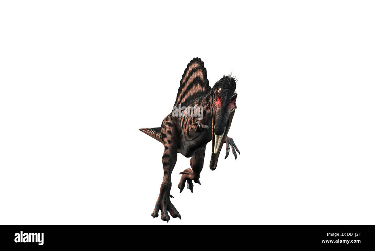 spinosaurus isolated on white background Stock Photo - Alamy