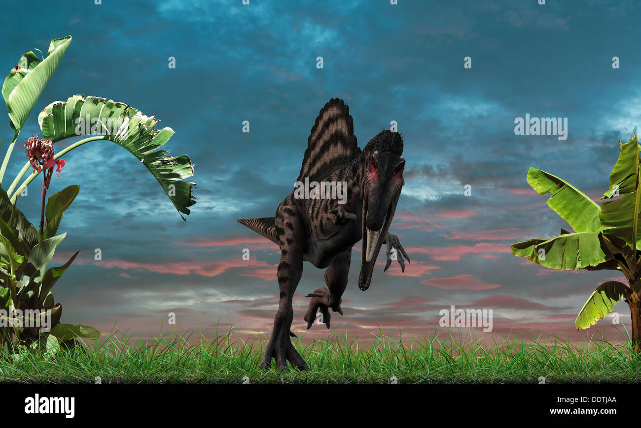 spinosaurus running into the wild Stock Photo - Alamy
