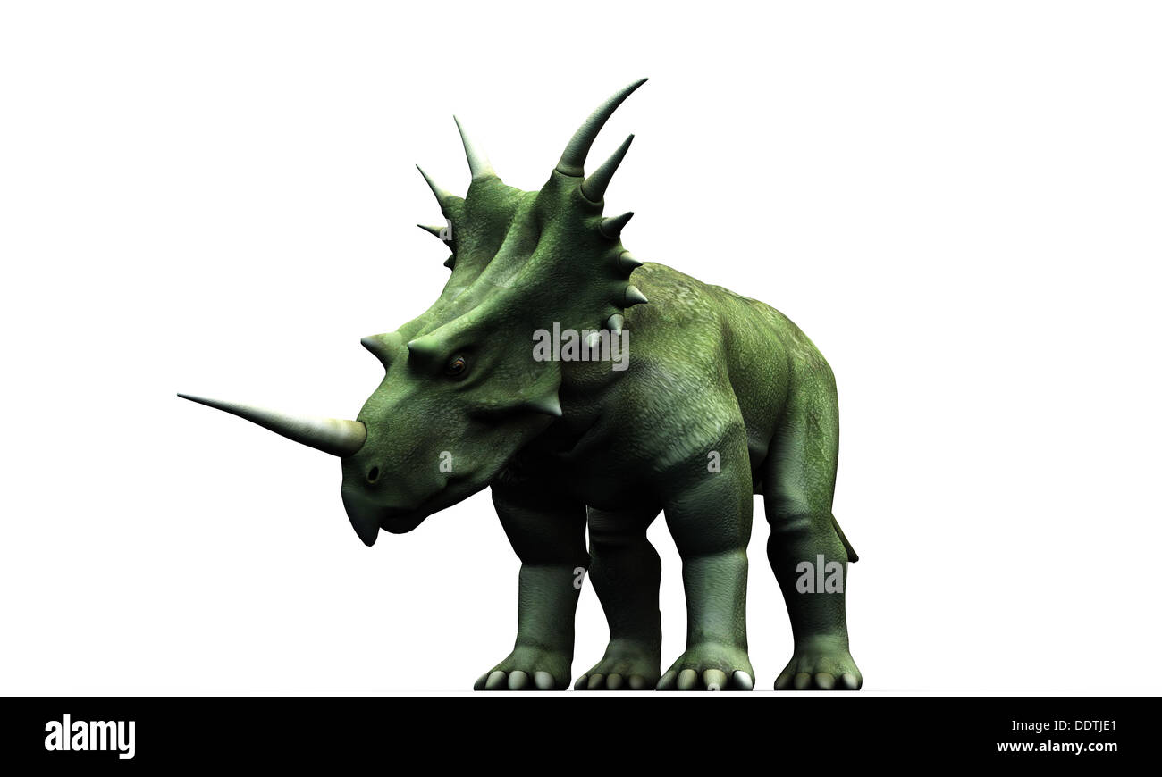 Styracosaurus isolated on white background Stock Photo - Alamy