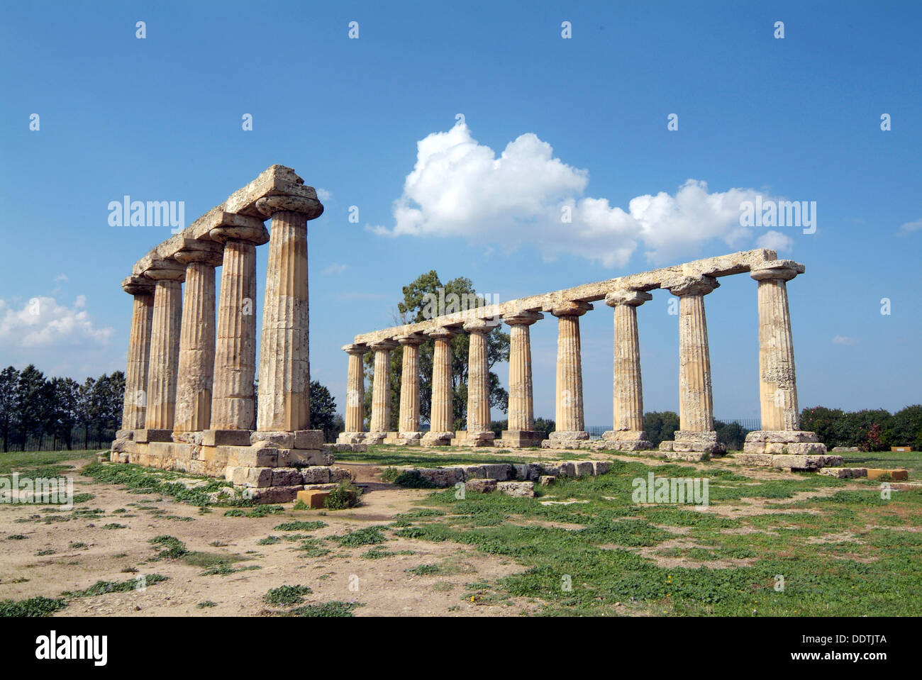 Metapontum, Italy High Resolution Stock Photography and Images - Alamy
