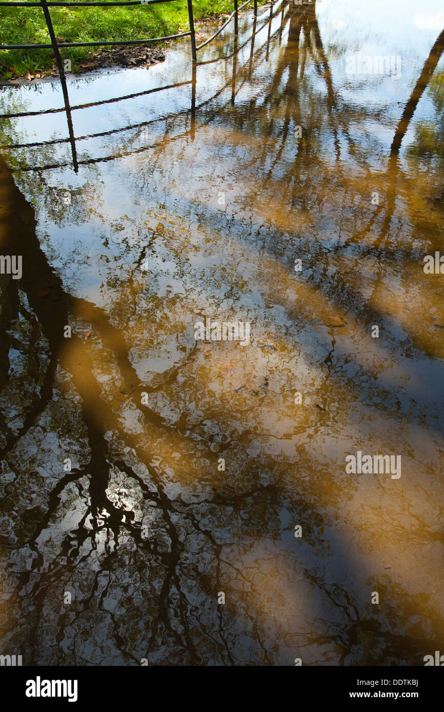 Rain puddle refelctions sea breeze hi-res stock photography and images ...